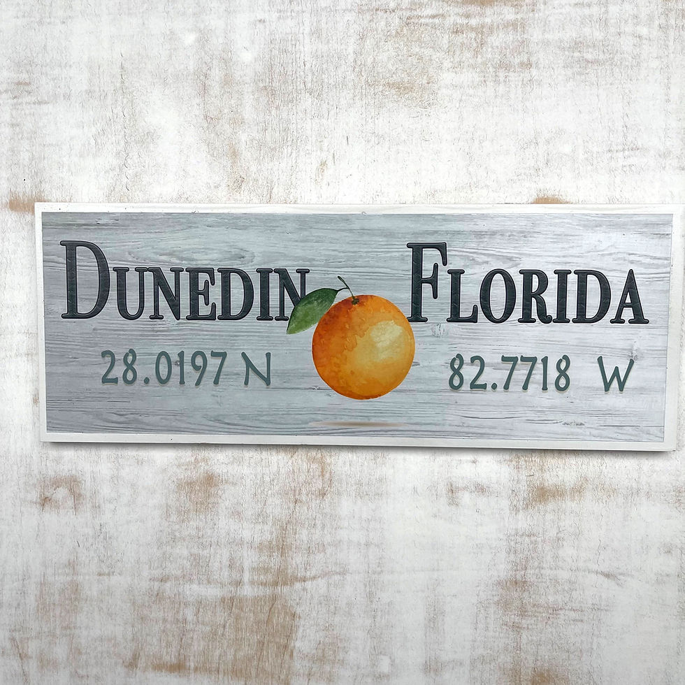 Dunedin Florida Coordinates Sign - Celebrate Your Unique Place | Custom ...