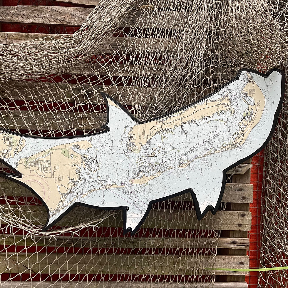 Custom Salty Signs | coastal inspired signs | Pinellas County, FL, USA