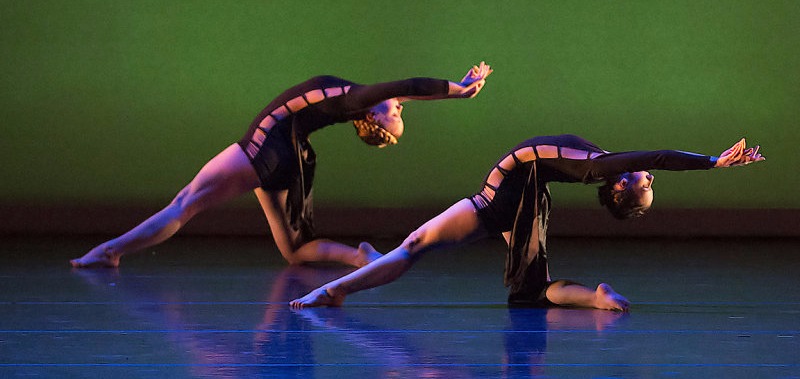 Choreographic Opportunities | dancecanvas