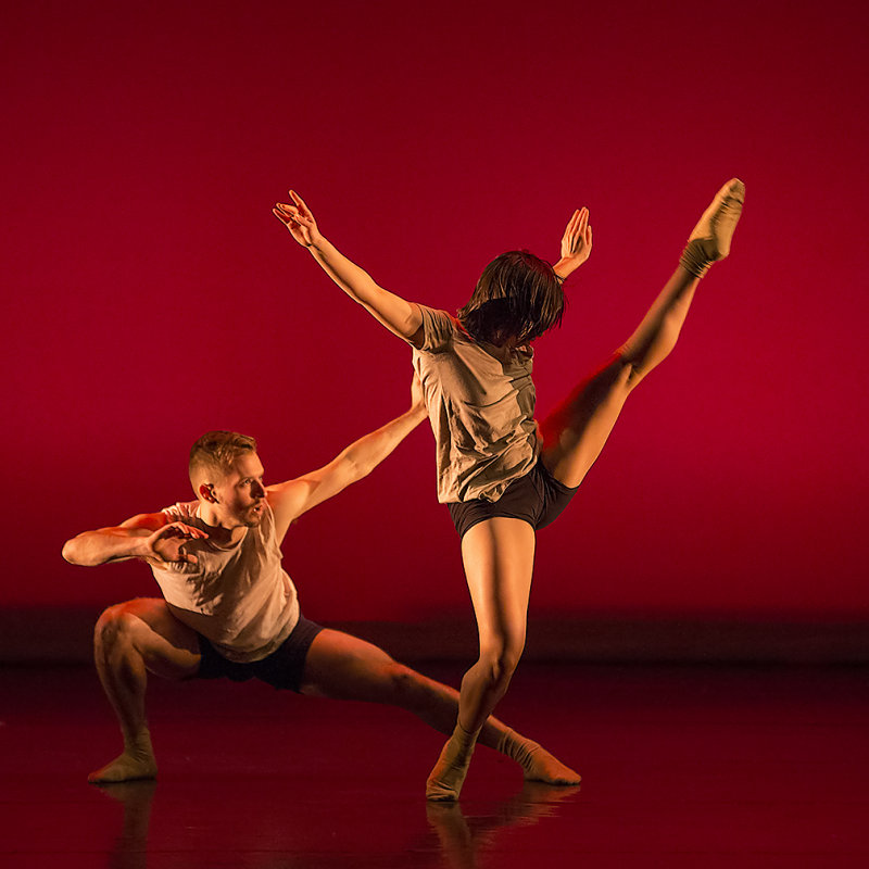 Choreographic Opportunities | dancecanvas