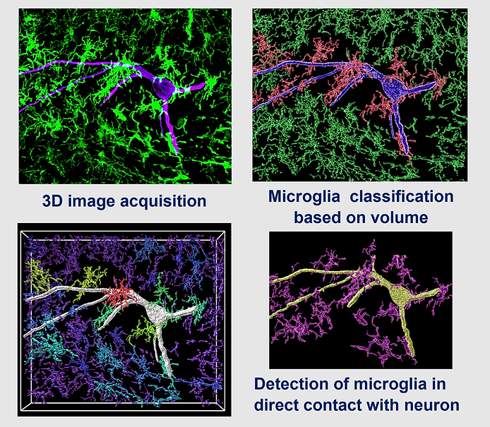 3D reconstruction | Danielle Beckman