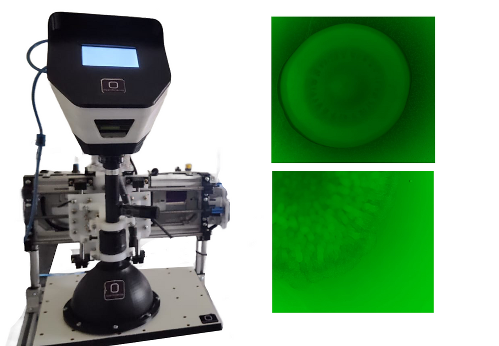 Innovation in Candida Species Identification: Application of ...