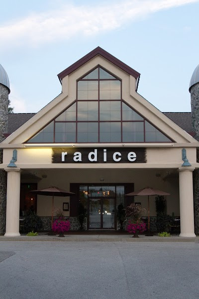 Menu | Radice