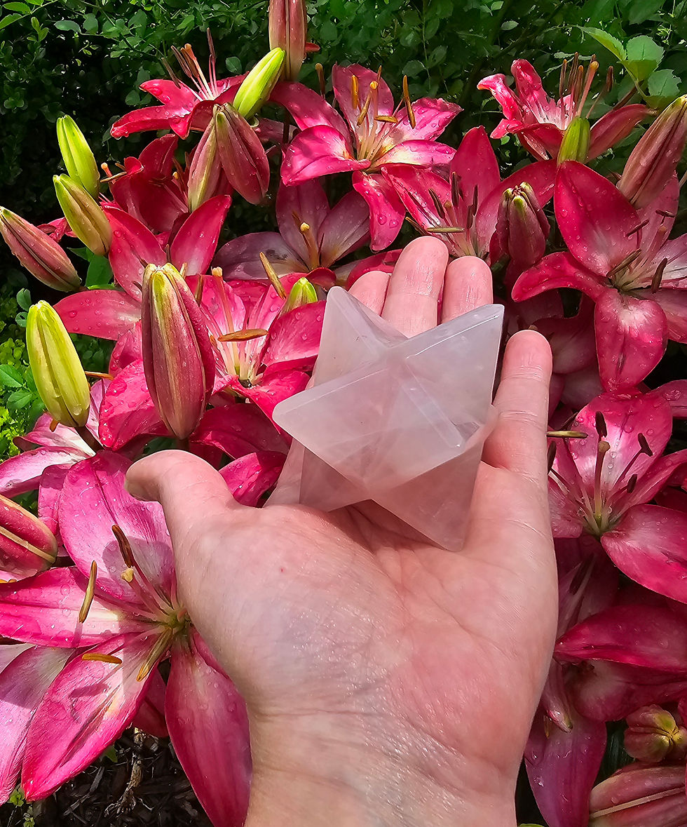 Shop | Global Enlightenment Project