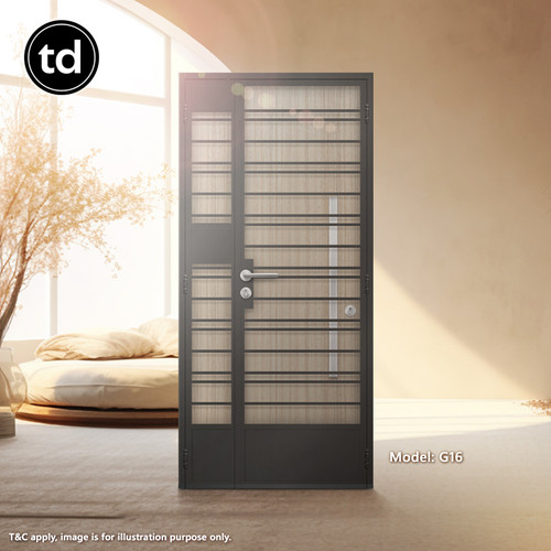 Mild Steel Main Gate TD-MSG-G16 | The Door
