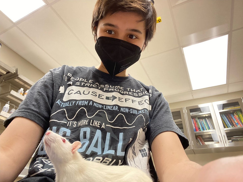 Who cares about testosterone? Book Review: Testosterone Rex by Cordelia ...