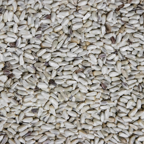 Safflower | Wild Birds & Gardens