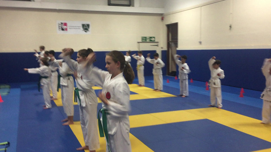 Ashridge Karate Academy Goju Ryu Karate in Berkhamsted