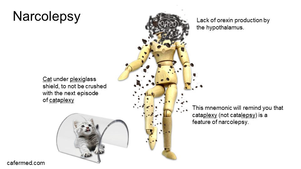 Xyrem vs Xywav - What's the difference?