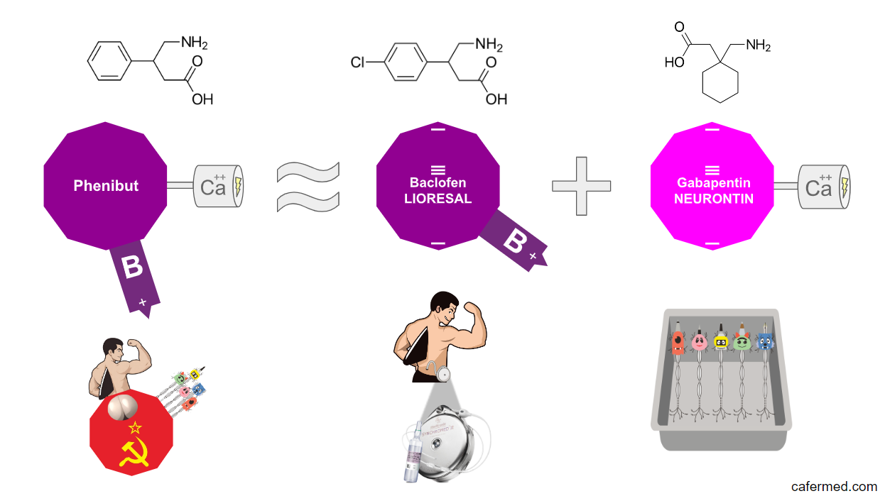 Phenibut, the Gas Station Gabapentinoid and GABA(B) Agonist
