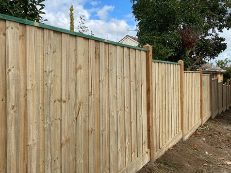 Timber Paling Fencing Melbourne | LATITUDE Fencing & Gates