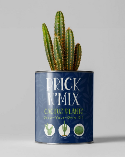 Prick N Mix - Eco Grow Your Own Cactus, Gardening Kit | Memento Floral ...