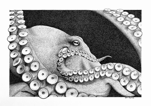 Papillae Print | Gemma Pearce Art