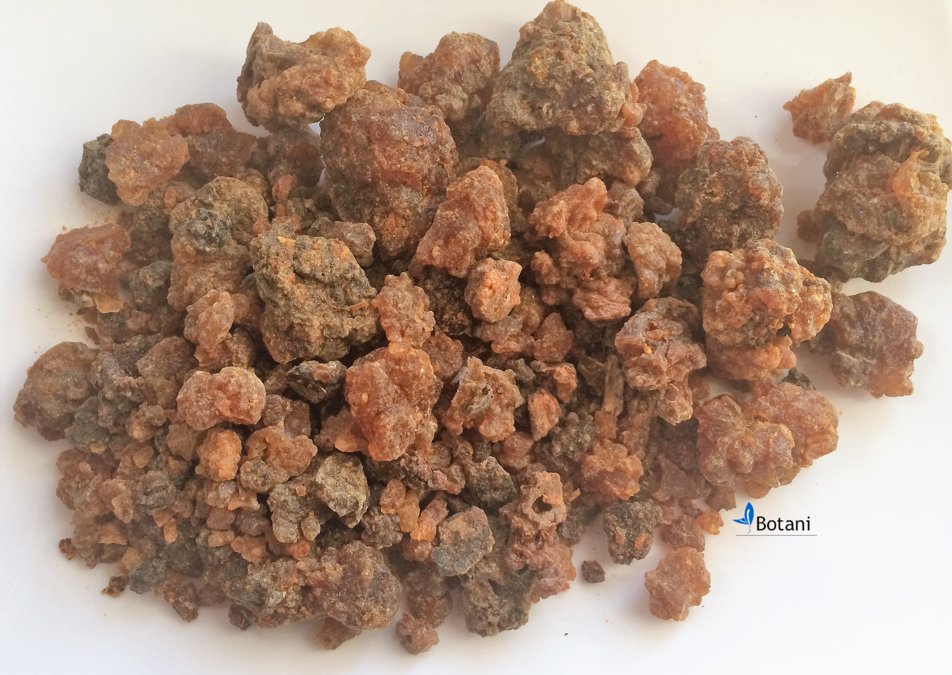Gum Myrrh | Kenya | Botani General Trading L.L.C, Dubai- U.A.E