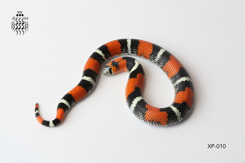 Tricolor Hognose Snake - 010 | Wellspring