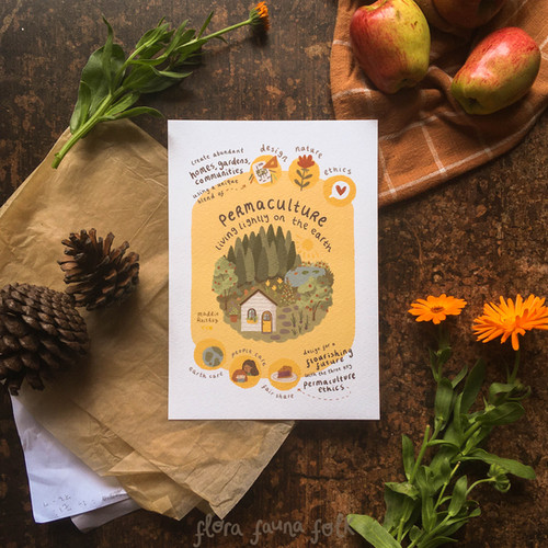 Permaculture Illustration Infographic | Flora Fauna Folk