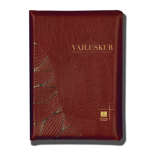 2022 NEW HMONG BIBLE TRANSLATION - Mid-Size, Leather cover with Zip ...