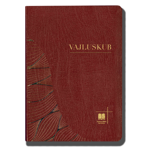 2022 NEW HMONG BIBLE TRANSLATION - Large-Size/Leather Cover (Hmoob Dawb ...