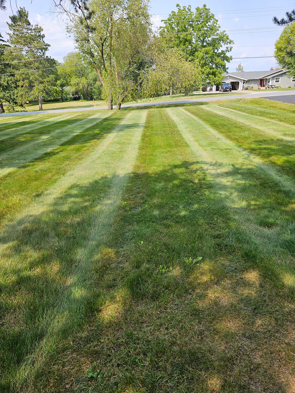 Al's Grounds maintenance (AGM) | lawn care