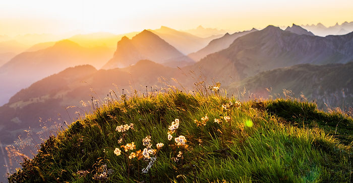 Faith in Nature | TreeSisters