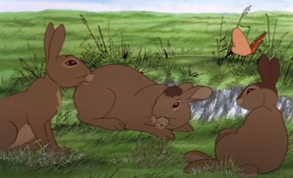 10 Leadership lessons from Watership Down (contains spoilers from the ...