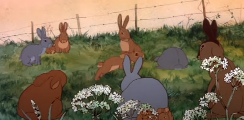 10 Leadership lessons from Watership Down (contains spoilers from the ...
