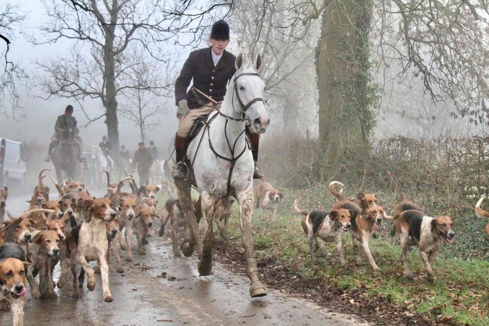 'Get to know the Huntsman' - Daniel Cherriman