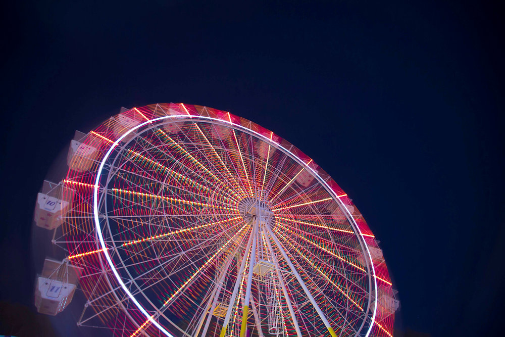 What's On Hunter Valley | Maitland Show
