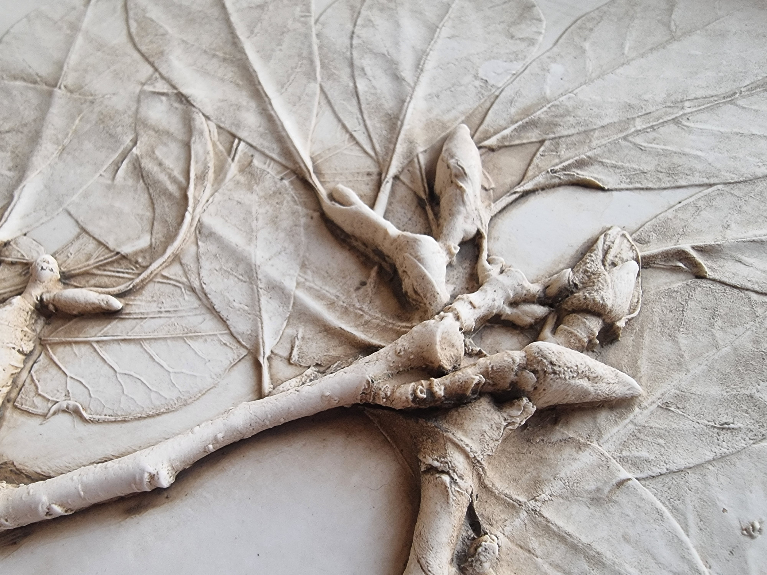 Home | Janet Howkins Art | Botanical Casting Artist