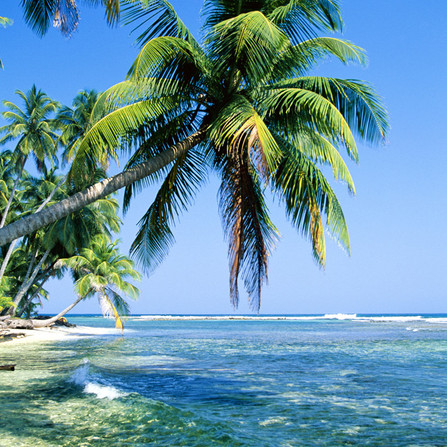 HOME | mokis hawaiian grill taylorsville utah