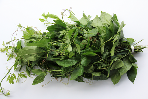 Fresh Ugu Leaves (Telfairia occidentalis) | Emelifes Farm Inc
