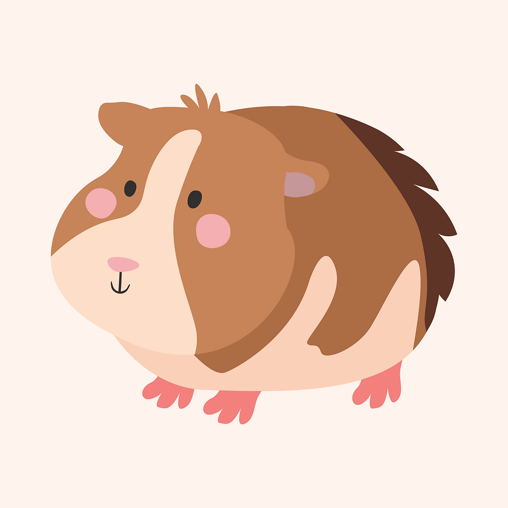 cuyos