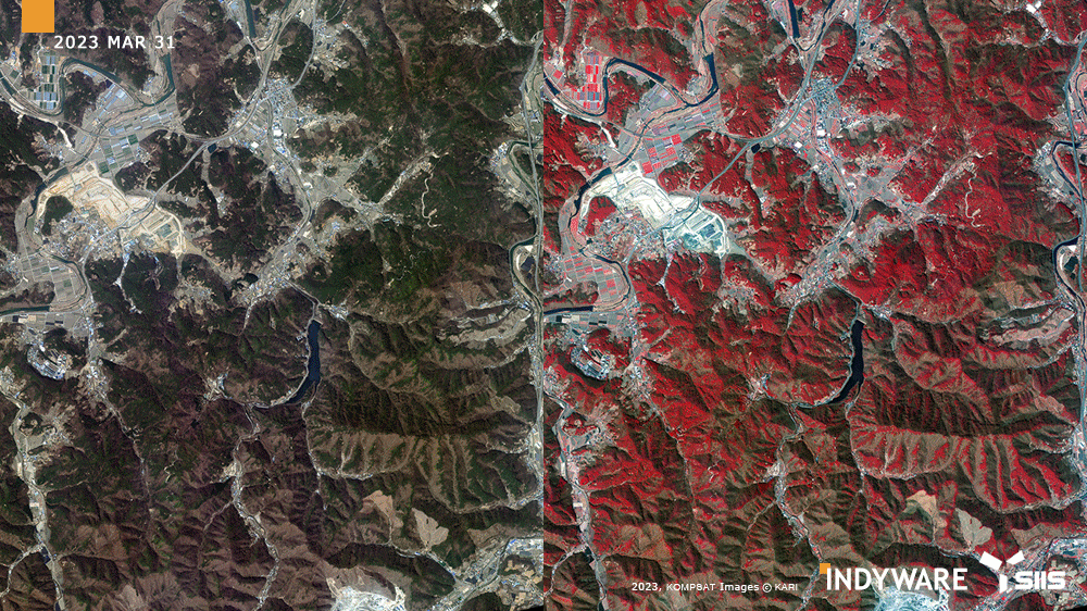 A Wildfire In Daejeon