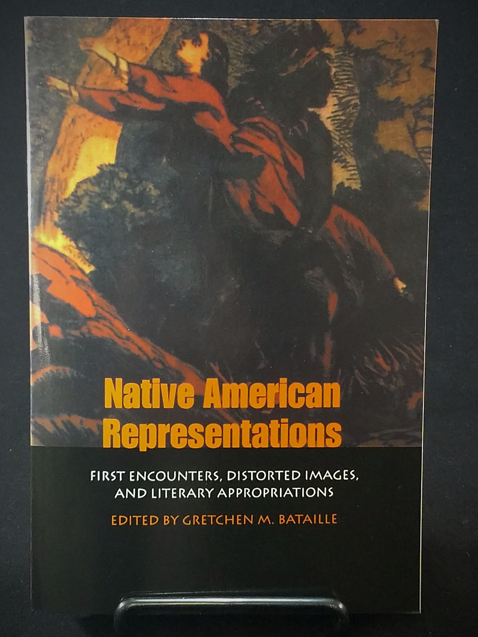 Native American Representations | koochichingmuseums