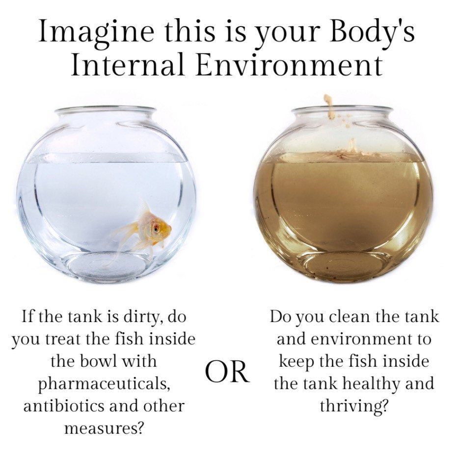 THE 'TERRAIN' VERSUS 'GERM' THEORY - WHICH IS BETTER FOR OUR HEALTH?