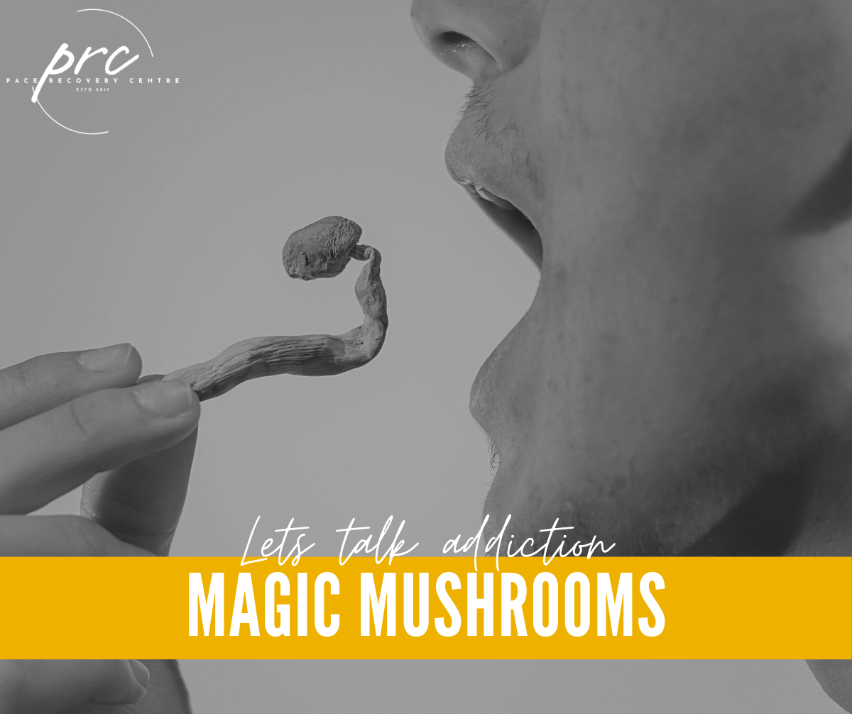 Deciphering Magic Mushrooms: Effects and Risks | PRC Recovery
