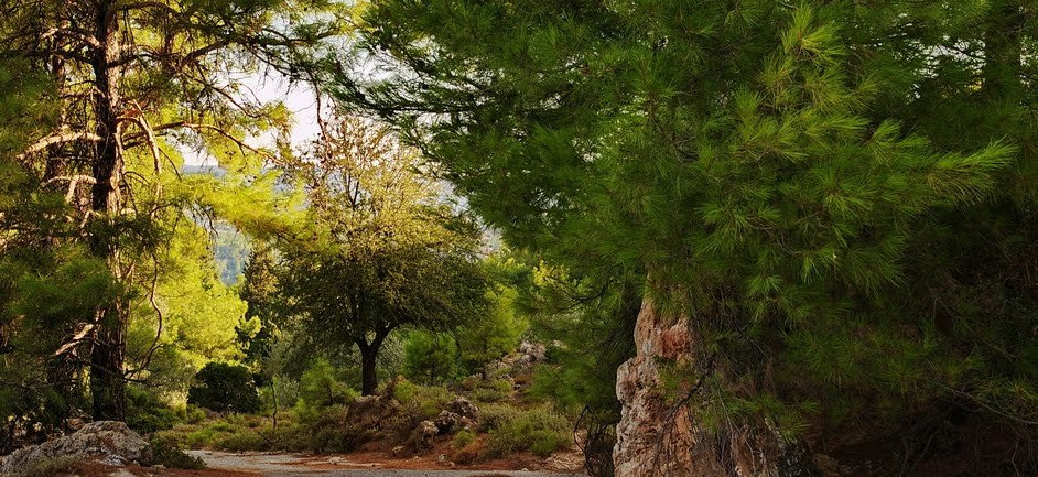 Seven Springs | Sightseeing | Visit Rhodes