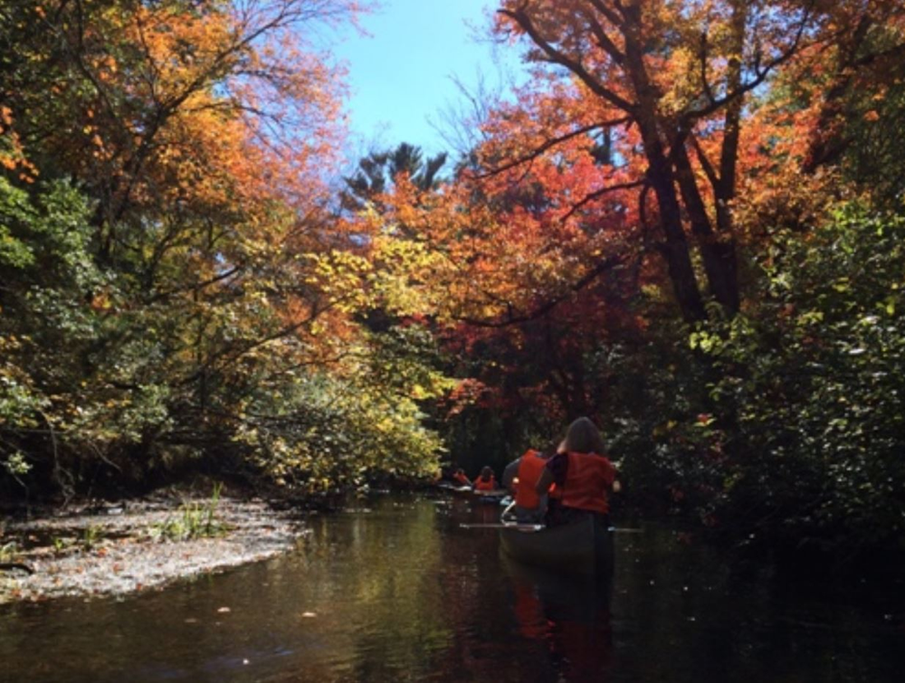 Wood-Pawcatuck River System Now Wild and Scenic