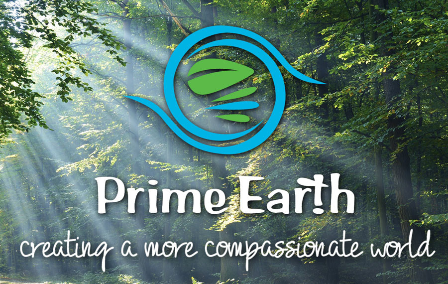 Prime Earth | Nature Education & Personal Development