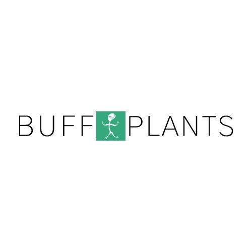 Growing Launch | Buff Plants