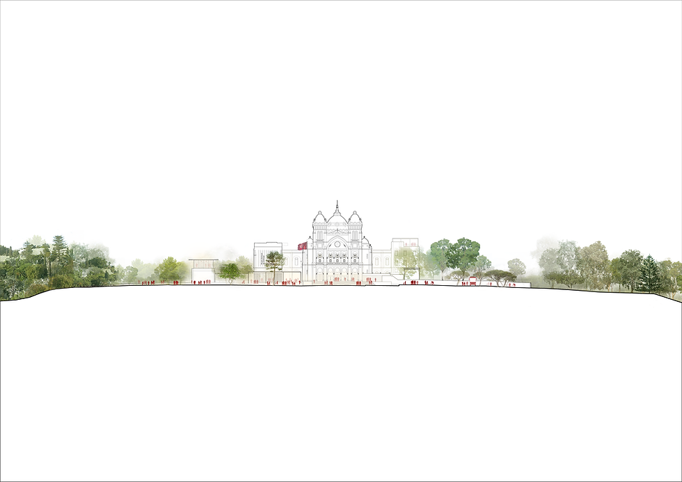 New Museum of Carthage | Carter Gregson Gray