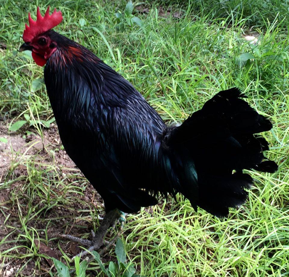 PHOTOS | the-blakliz