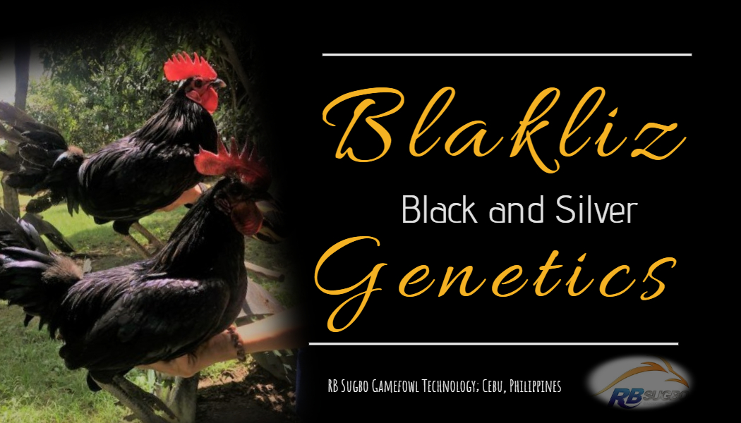 Seed fowl | The Blakliz