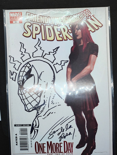 Sam De la Rosa Signed and Stretch Spider Man Comic | Top Chief Originals