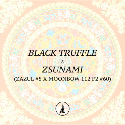 Black Truffle x Zsunami | Pagoda Seeds