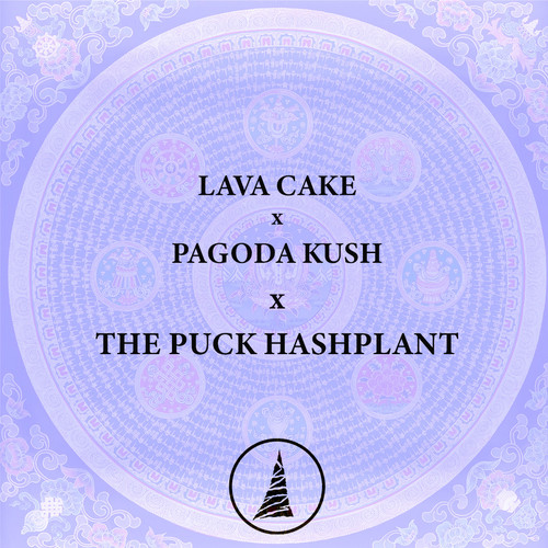 Lava Cake x Pagoda x THE PUCK | Pagoda Seeds