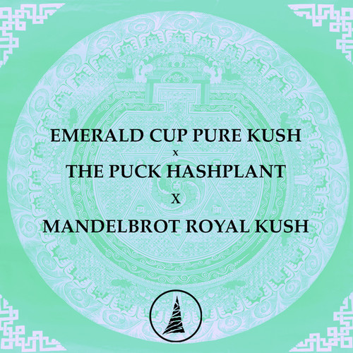PK x THE PUCK x Royal Kush | Pagoda Seeds