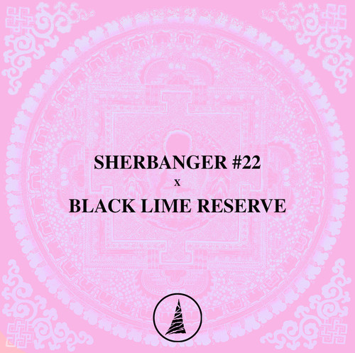 Sherbanger #22 x Black Lime Reserve | Pagoda Seeds
