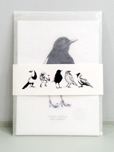 5 dutch birds | maartje v den noort