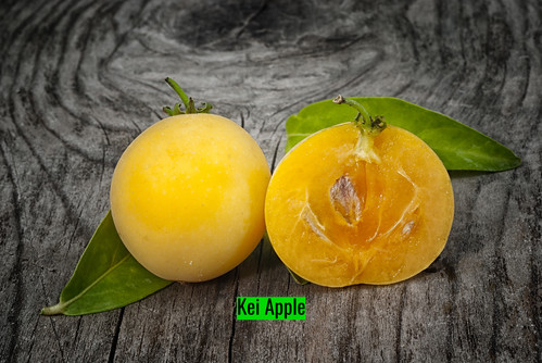 Kei Apple ( Dovyalis caffra ) | QCTropicals